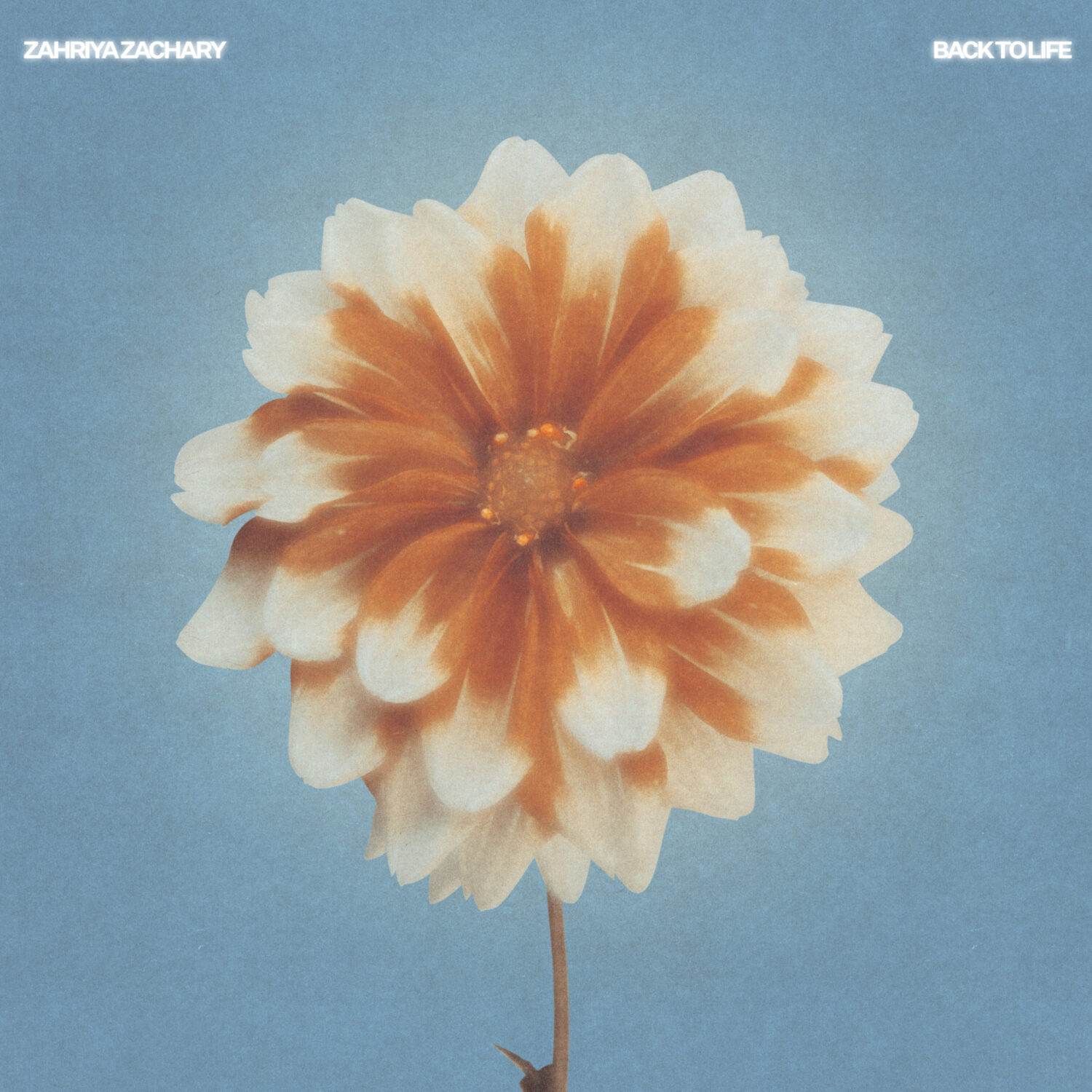 Worship Music, Live Events, Chords & Lyrics | Bethel Music